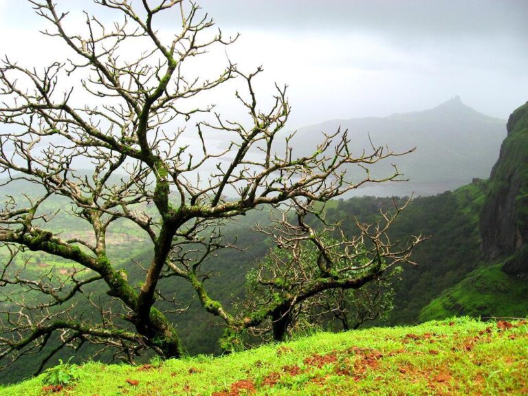 best hill stations in odisha