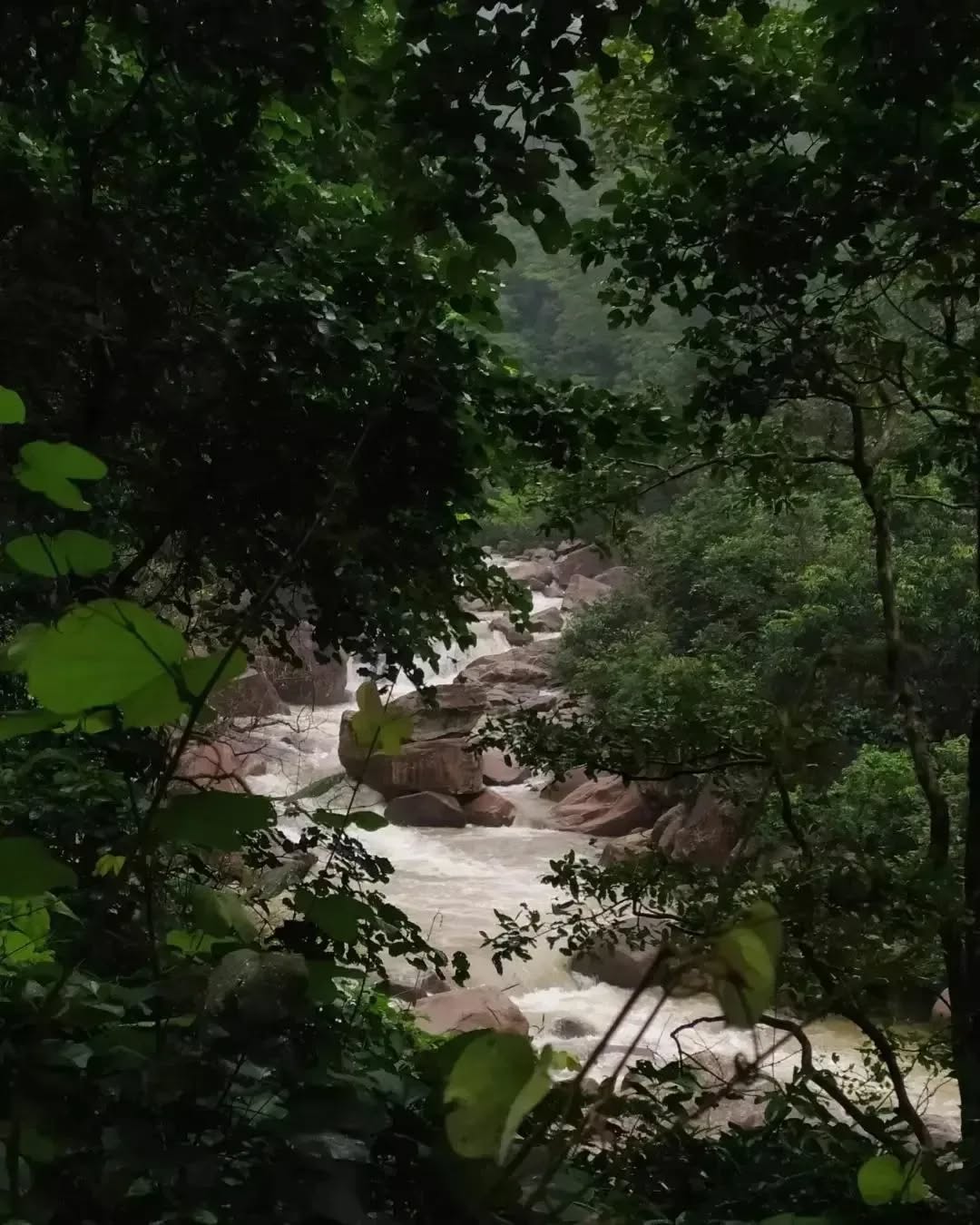 10 Top Hill Stations to Explore in India