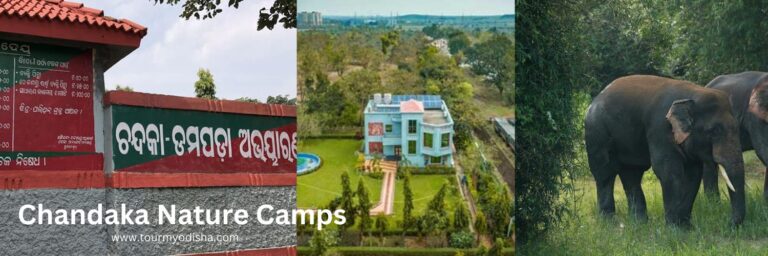 Nature Camps Find Your True Nature