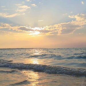 Marine National Park Explore Jamnagar Gujarat