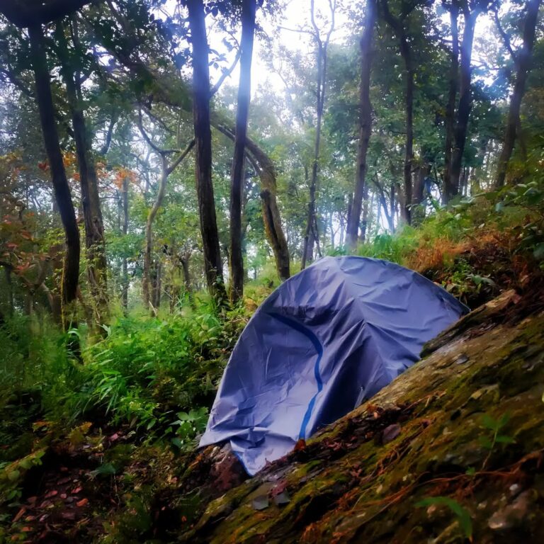 Malayagiri Hill Station: Your Ultimate Guide to Angul's Majestic